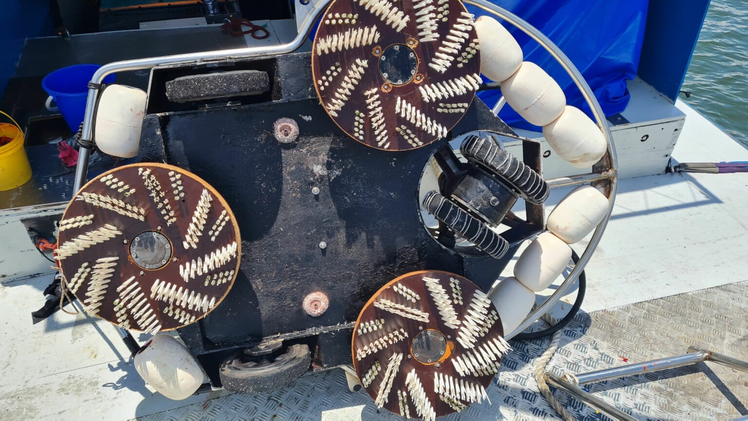 Hull Cleaning – APEX Underwater Services